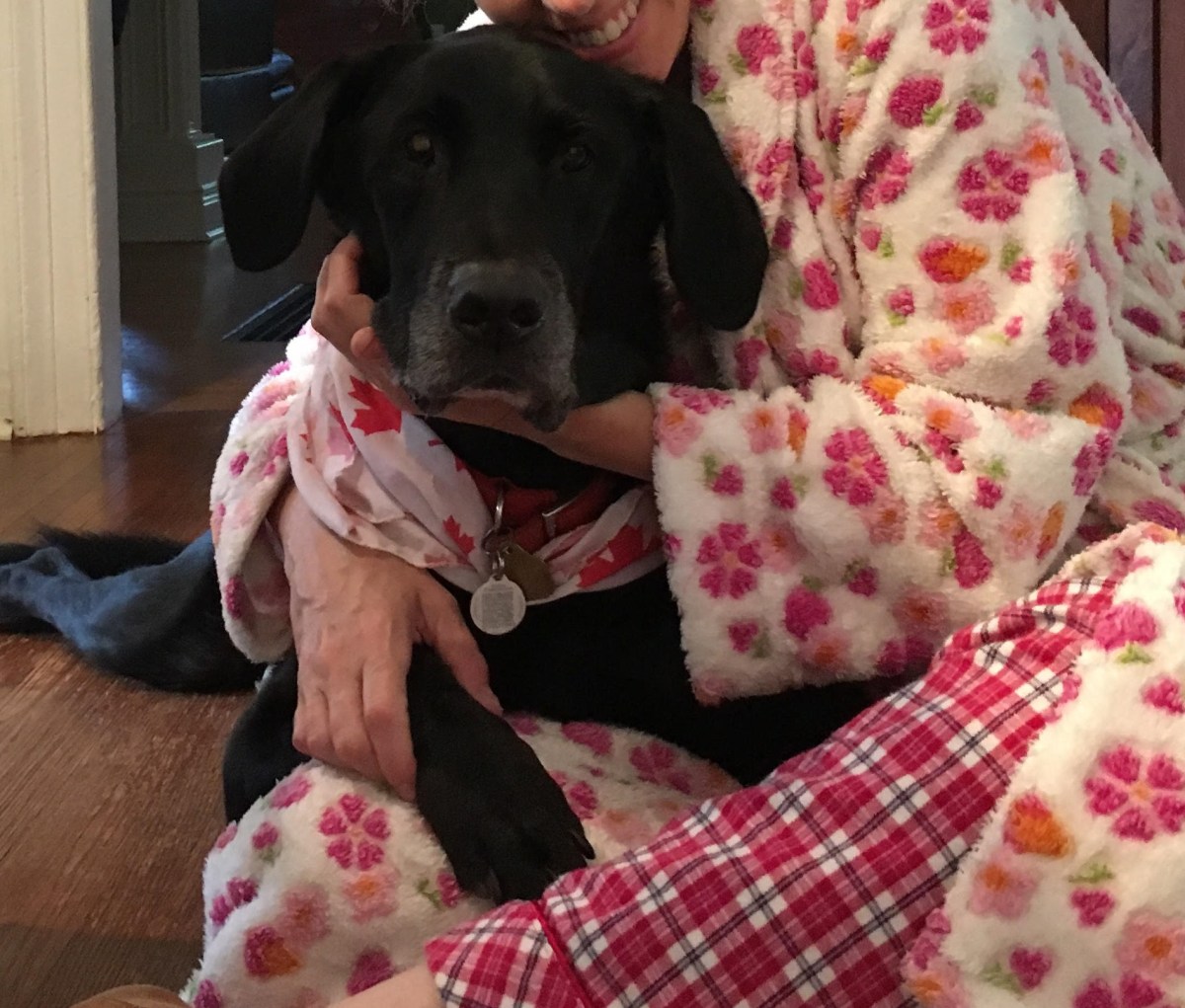 Farewell To The Best Boy Ever – mydangblog