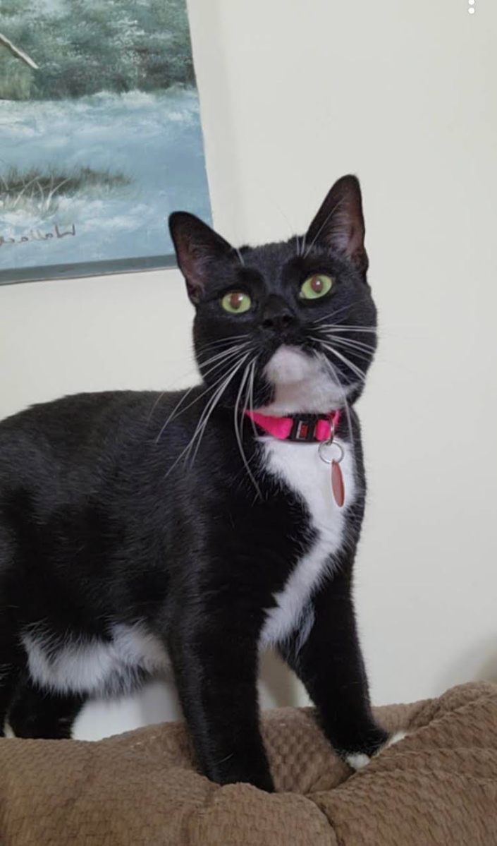 Very Superstitious – mydangblog